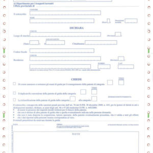 Modulo TT 2119 per operazioni relative ai veicoli a motore e loro ...